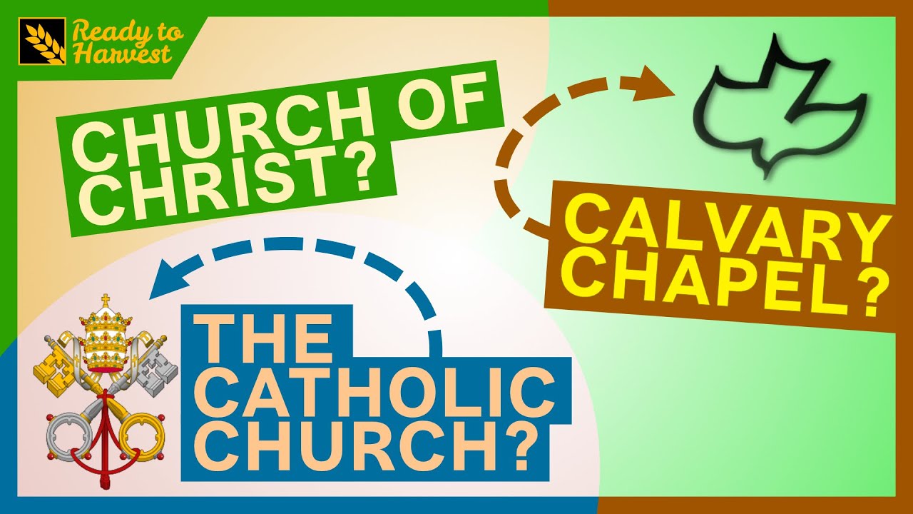 Denomination Definition: 7 key insights you need now