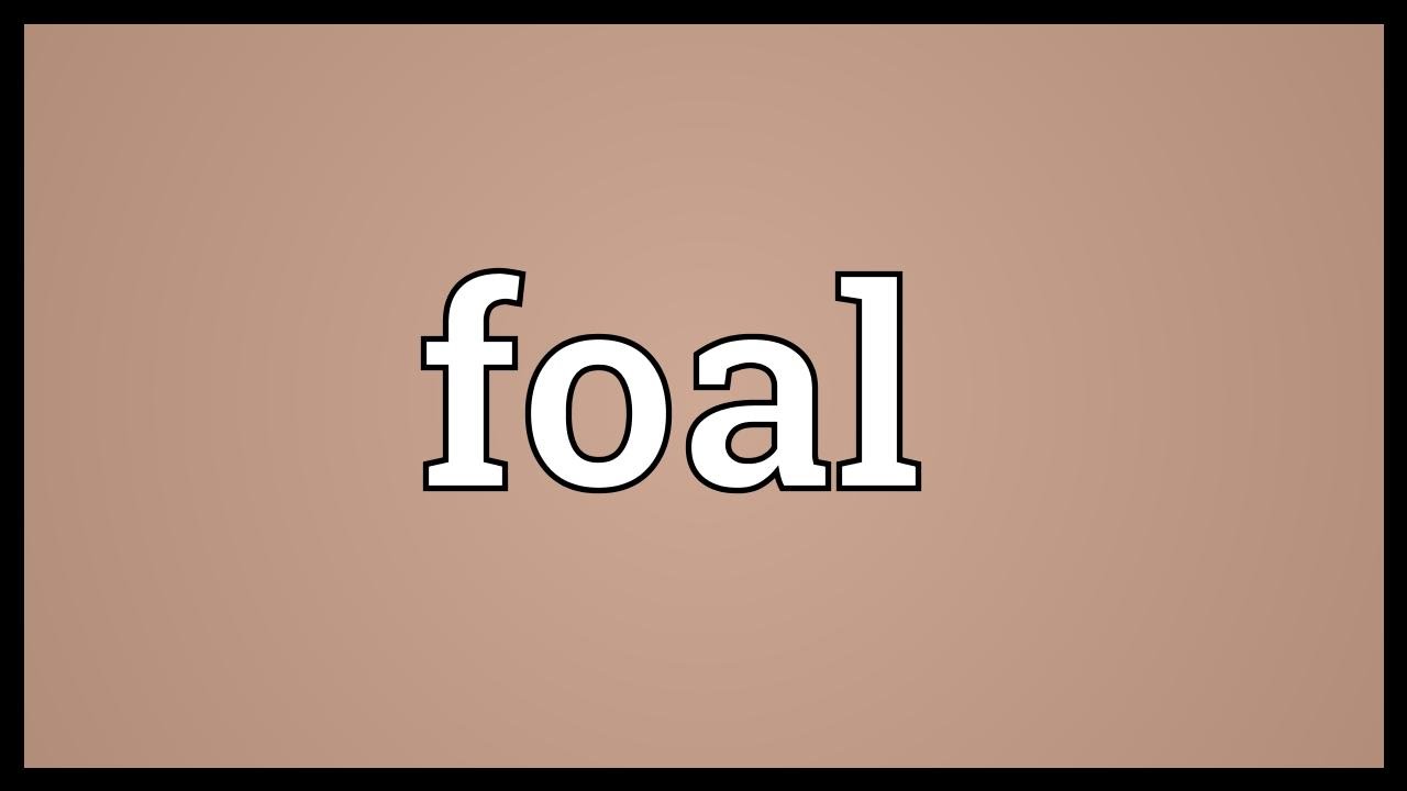 Foal Definition: 5 Fascinating Facts Every Horse Lover Should Know