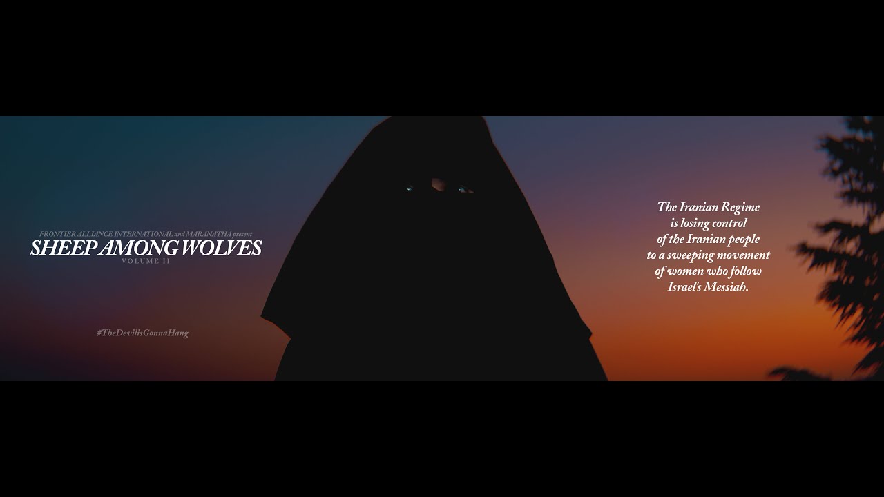 Sheep Among Wolves: 7 Strategies for Survival and Success