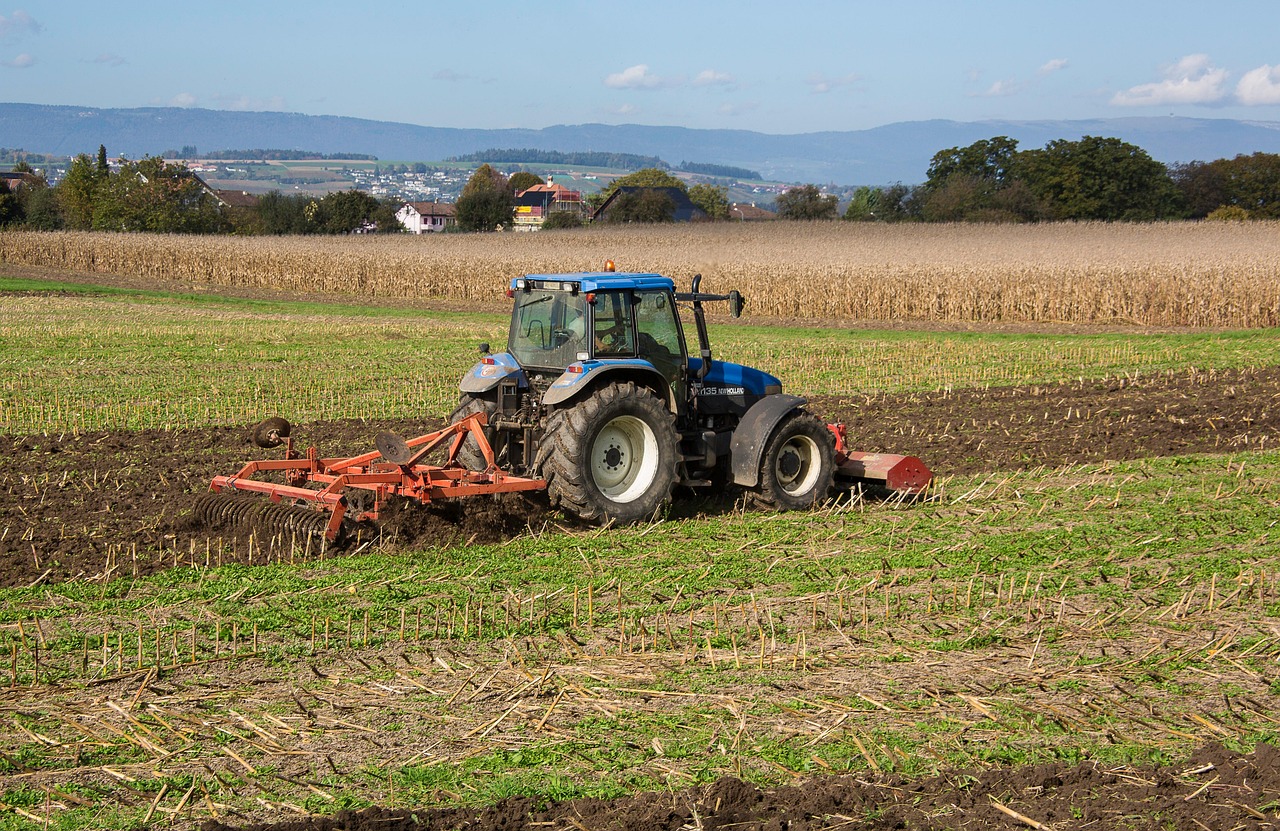 🎖 Fargelegging traktor: 7 kreative ideer for barn og voksne