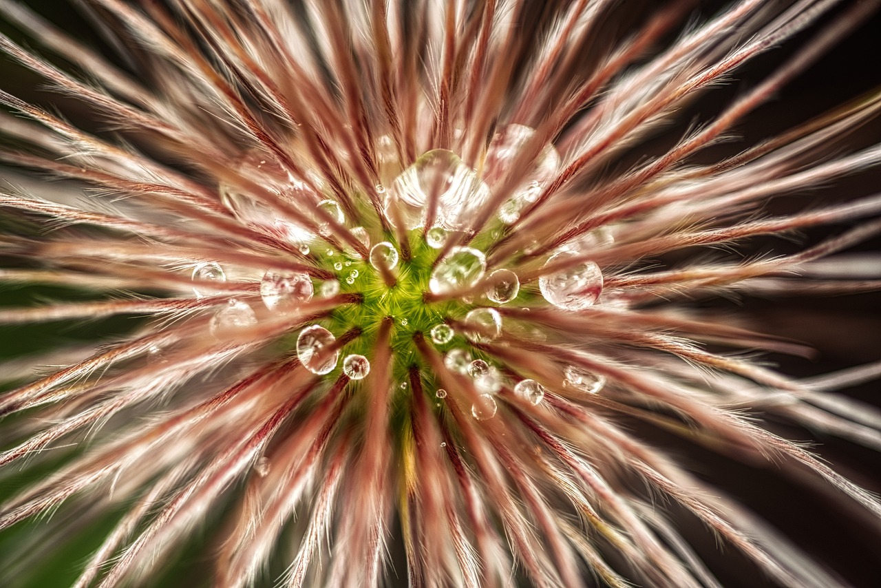 🎖 Taper fade: 5 estilos que transformar tu look masculino