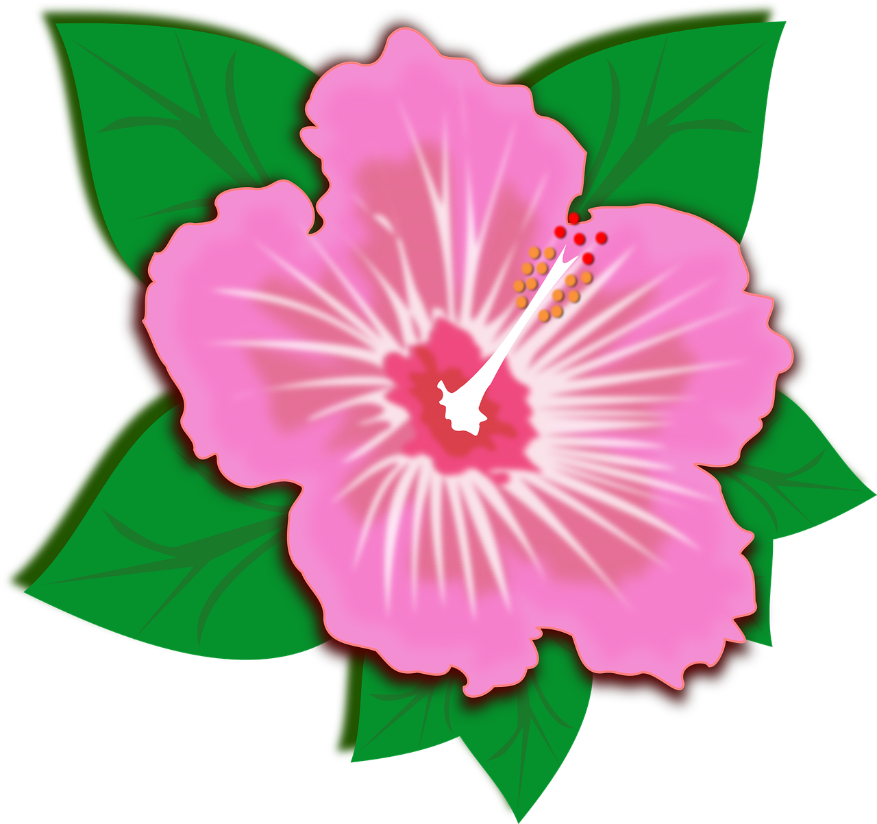 🎖 100 nombres de flores y fotos: 15 variedades imprescindibles