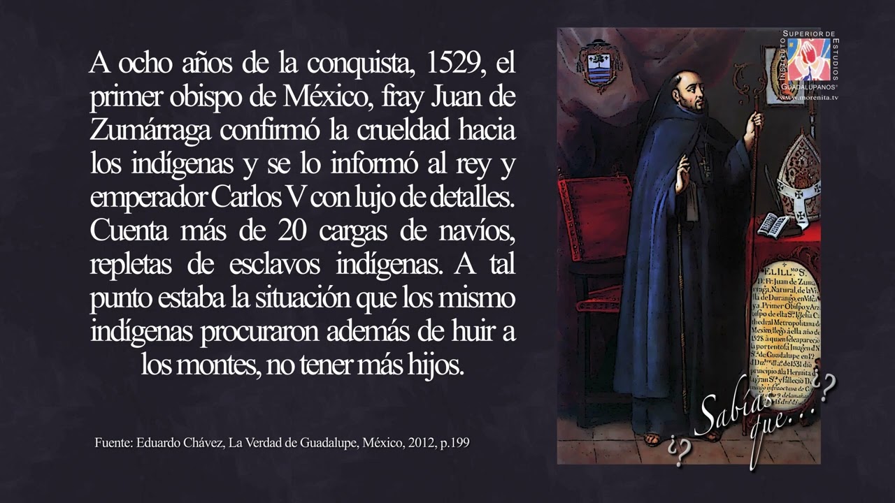 🎖 Fray Juan de Zumárraga: 5 legados que transformaron México